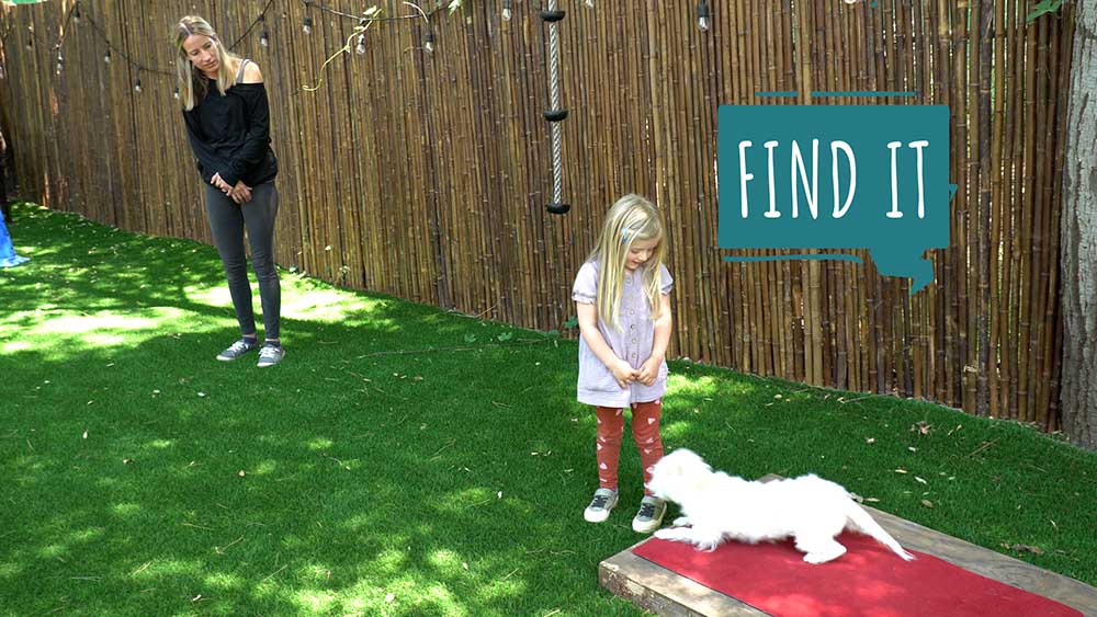 How to Teach Kids about Dog Body Language and Training | Behavioral Dog ...